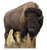 Life-size Bison Cardboard Standup | Cardboard Cutout