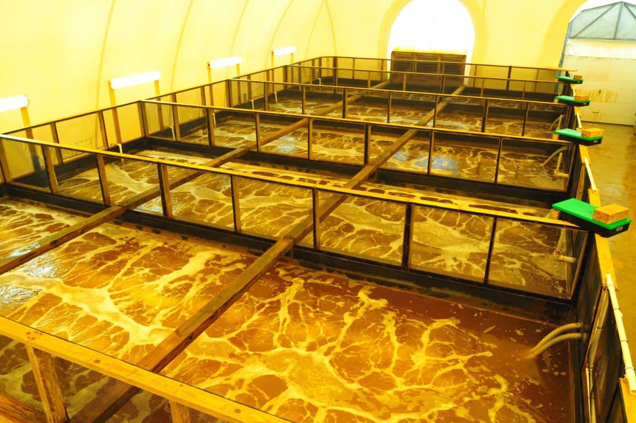 Aquaculture Systems and Equipment for the Global Industry | Global ...