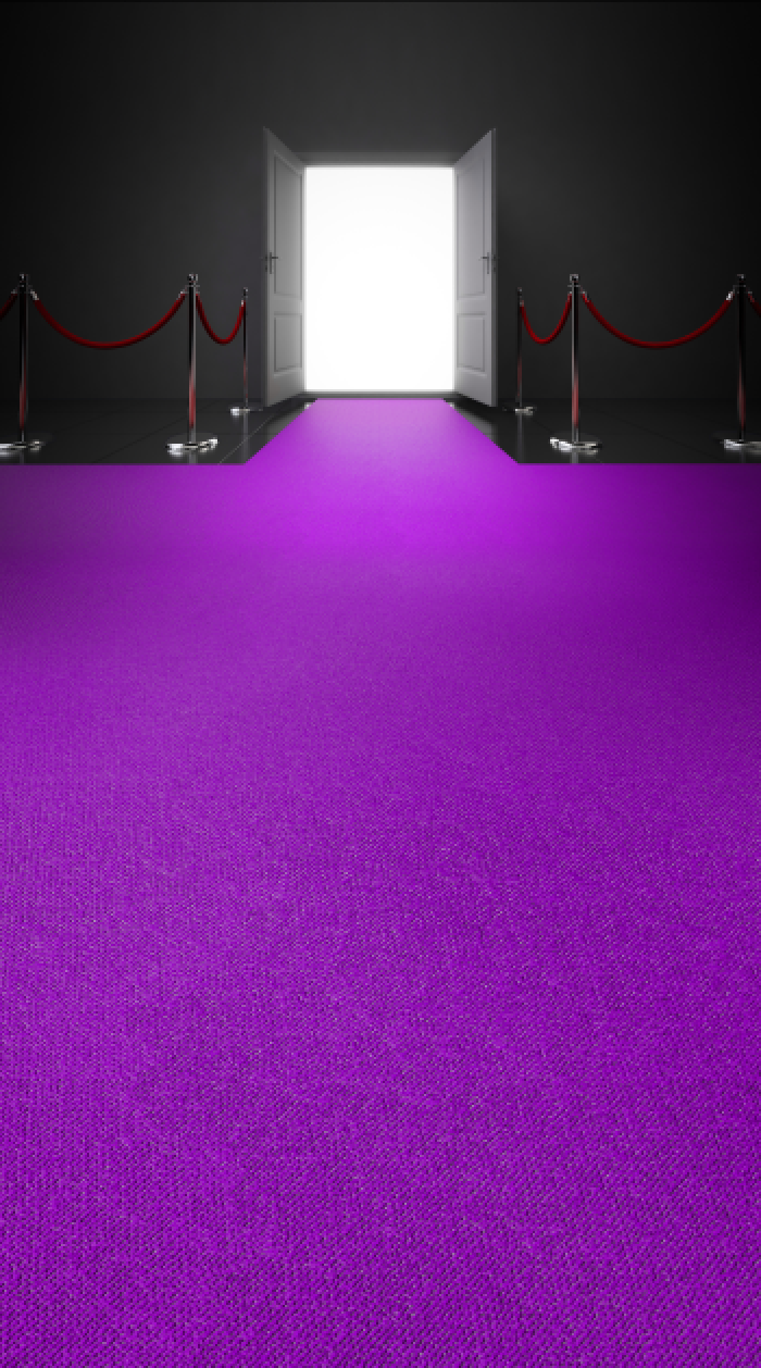 Custom Red Carpet Entrance Backdrop | Photo Pie