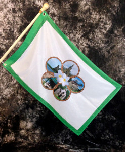 The flag of Inarajan, Guam : r/vexillology