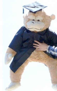 Big stuffed monkeys and gorillas from 2 feet tall to 6 feet tall