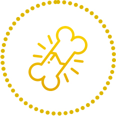 Lexelium