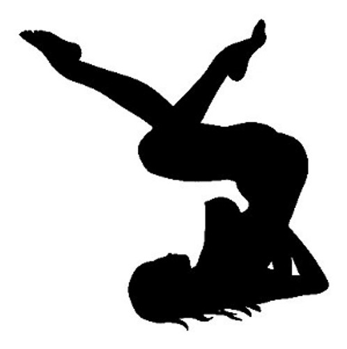 Bmw Sexy Girl Decal