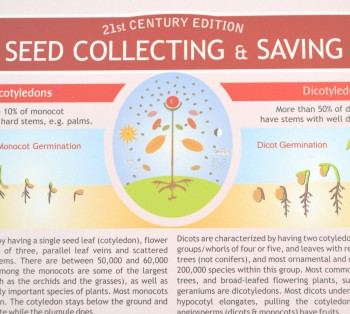 Starting Seeds Book | Terroir Seeds