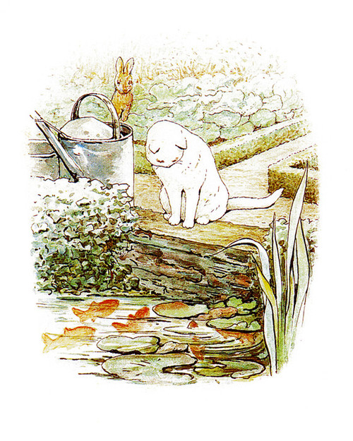 Art Prints of Peter Watches White Cat at Mcgregor's Fish Pond by ...
