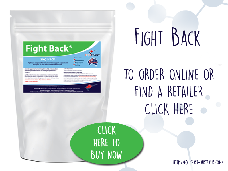 Dog Immunity and Allergies