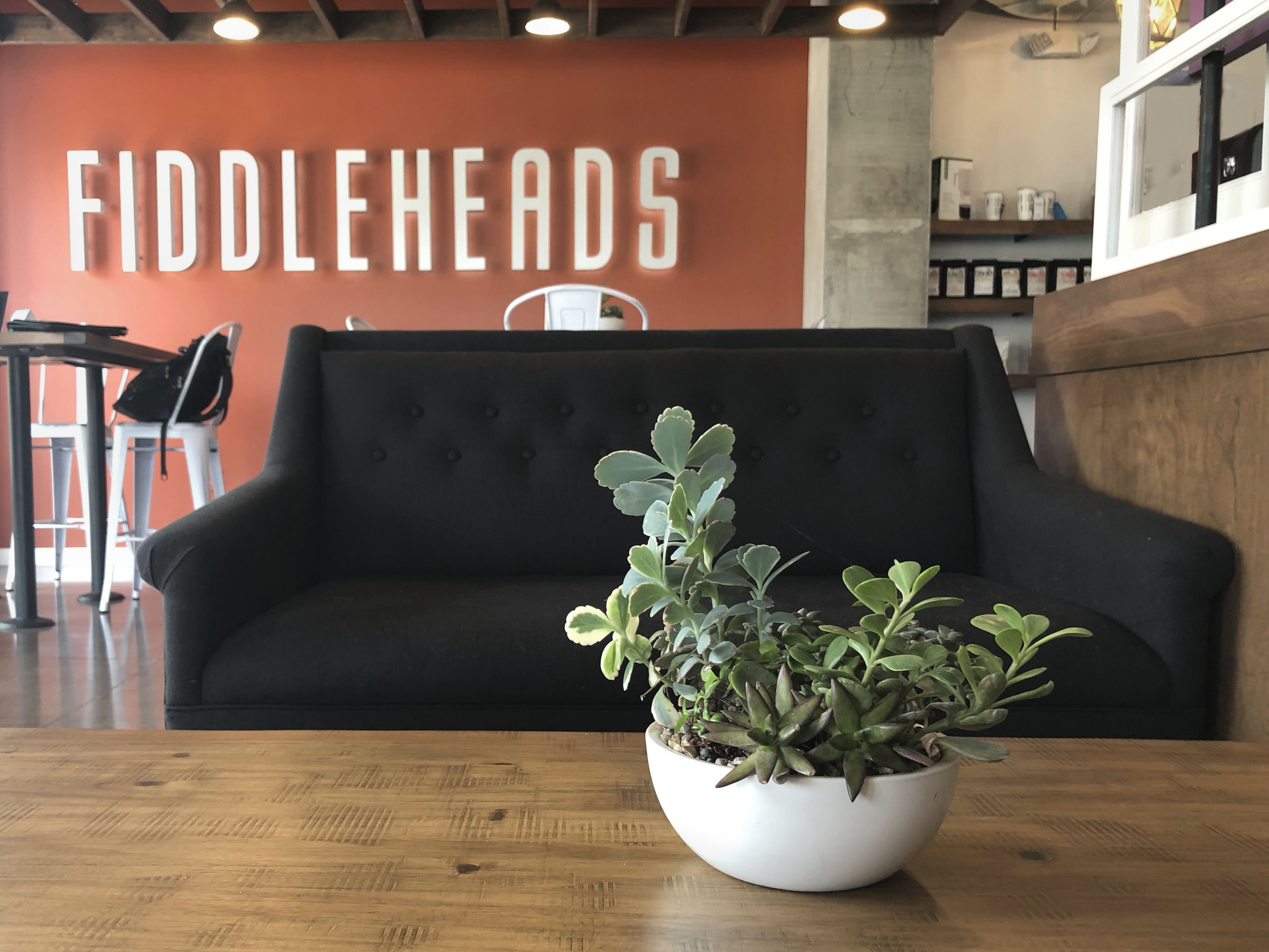 Fiddleheads Grafton